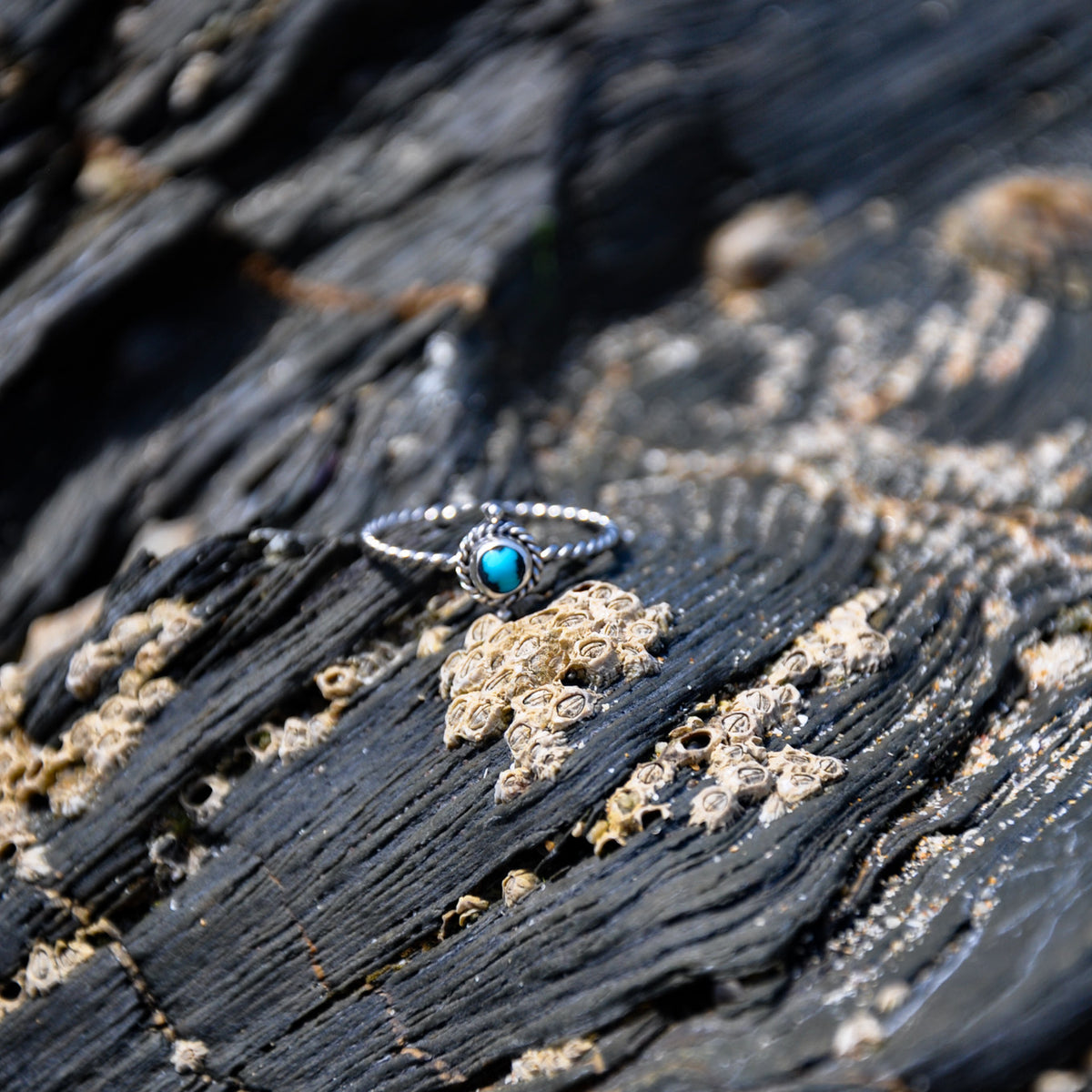 Silver Turquoise Rope Detail Ring – bonbonfistral